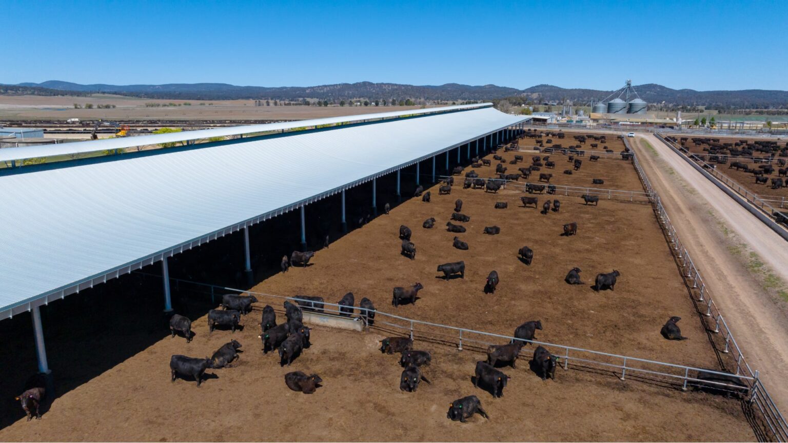 RIDGEBACK® Feedlot and Dairy Sheds - AUSPAN