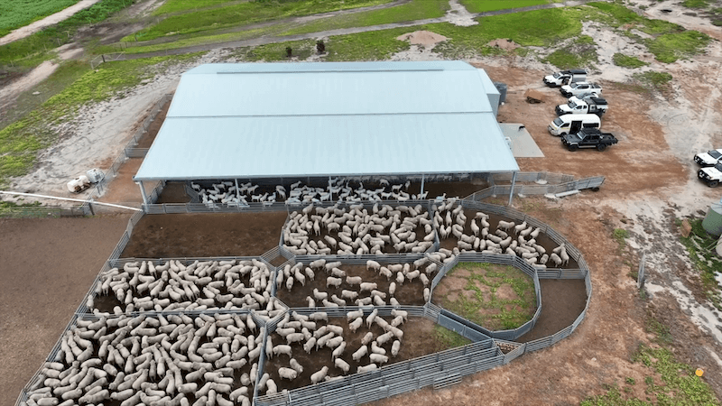 Shearing Sheds - Steel Farm Shearing Sheds - AUSPAN