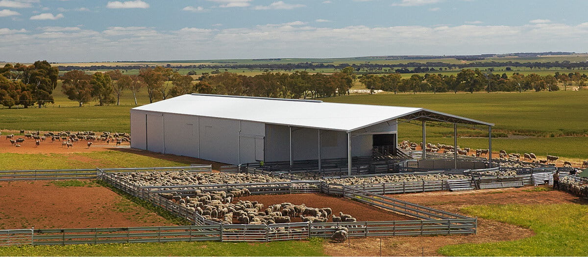 Shearing Shed For Brooklands Park Pastoral - AUSPAN