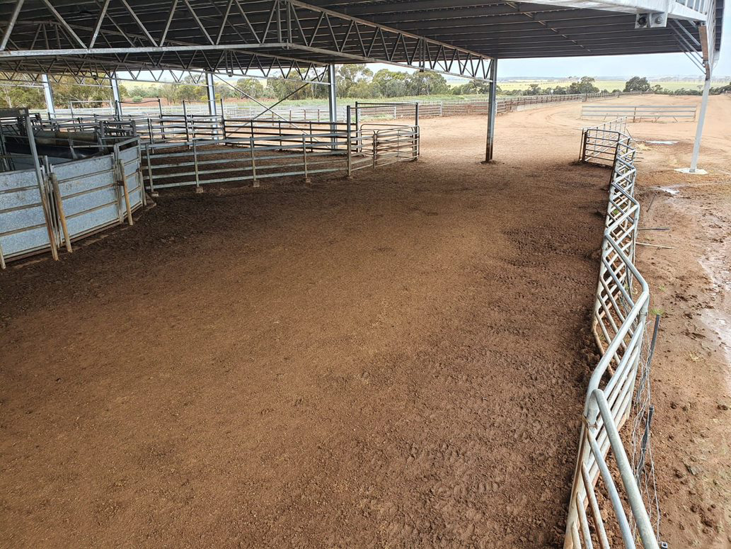 Stockyard Covers - Farm Stockyard Cover Construction - AUSPAN